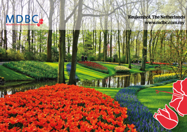 Infographics • MDBC