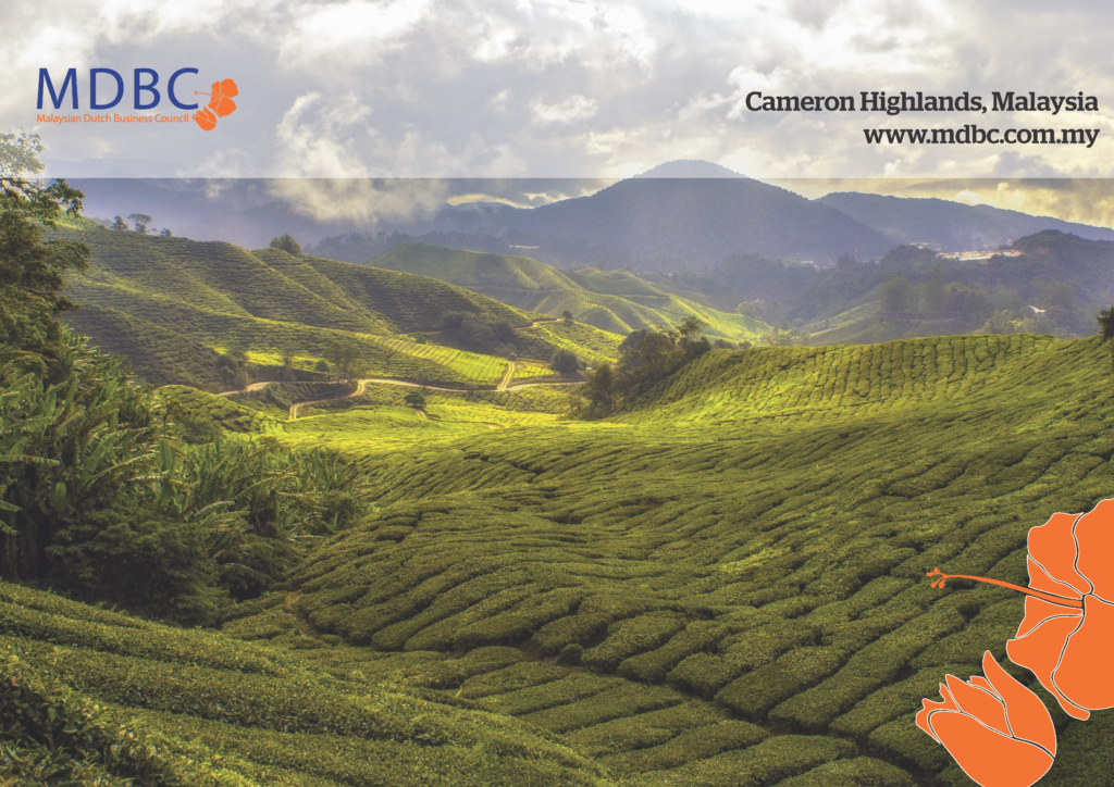 Infographics • MDBC