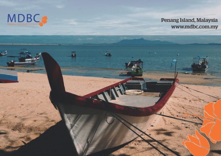 Infographics • MDBC