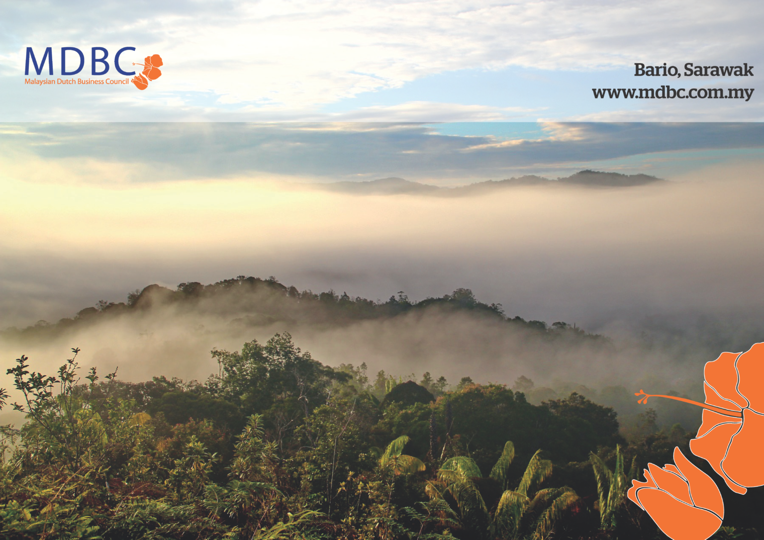 Infographics • MDBC