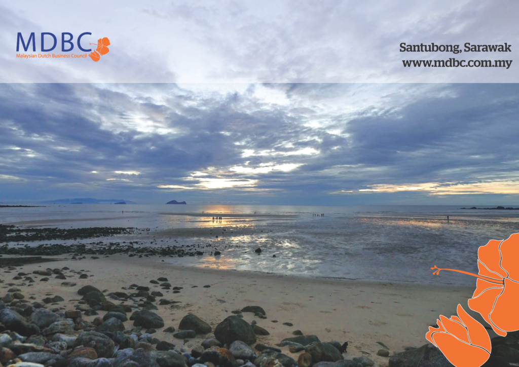 Infographics • MDBC