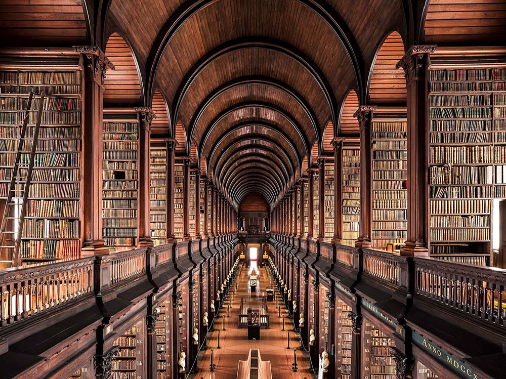 The Library • MDBC